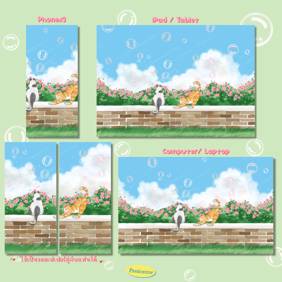Passionme | Wallpaper sets (Bubble cats) – BEARTOR